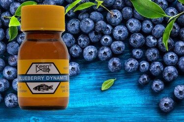 Blueberry Dynamite Keen Carp Flavour 30ml Flasche, 10,99