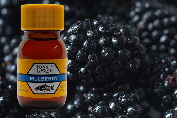 Mulberry Keen Carp Flavour 30ml Flasche, 12,99